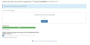 Migrate WordPress Site To New Domain Without Losing SEO [Ultimate Guide]